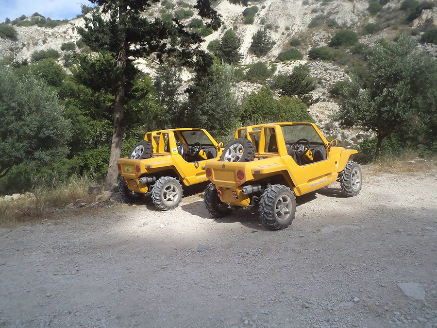 Chris Andreou Safari Tours