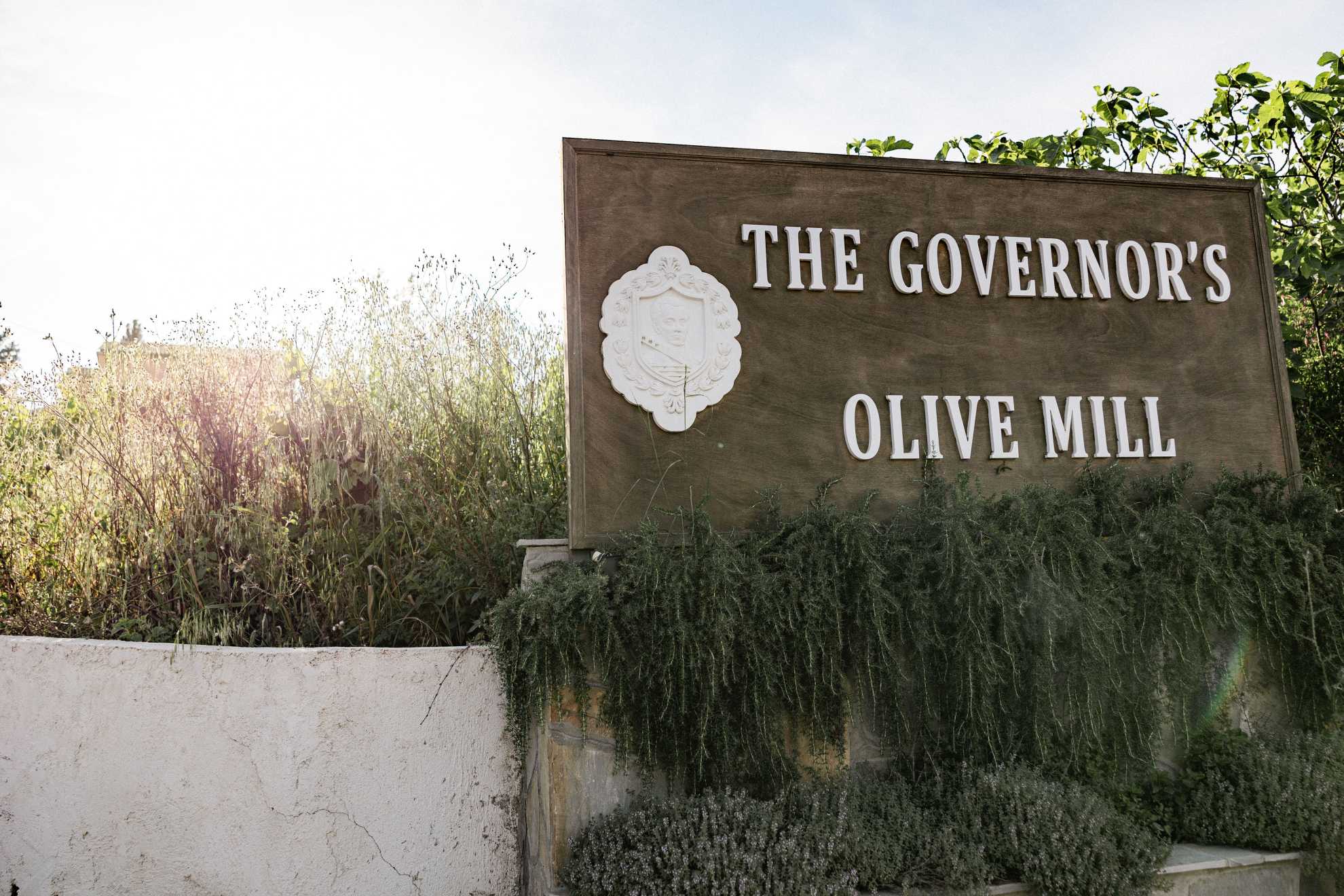 The Governor | Olive Tasting Tours | Corfu | Ionian | Greece