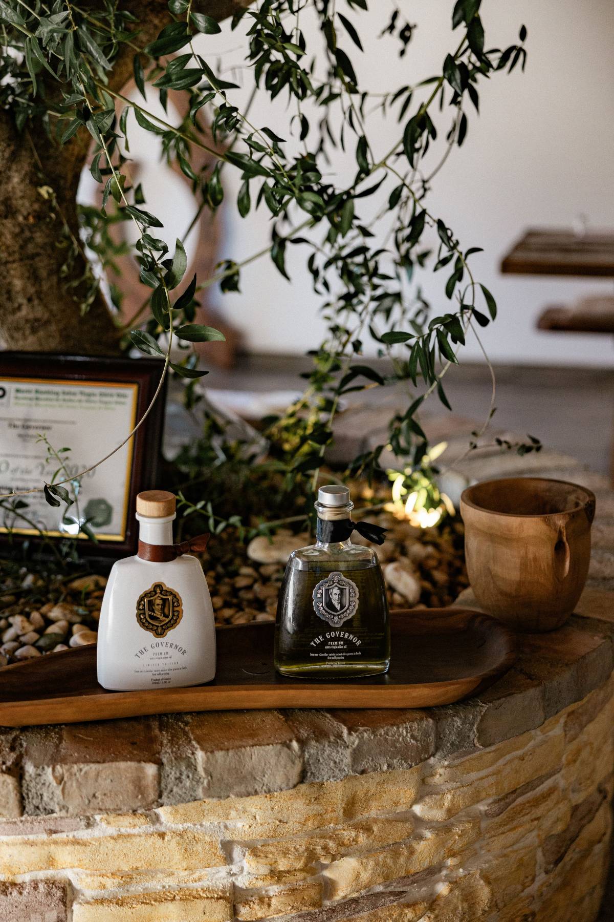 The Governor | Olive Tasting Tours | Corfu | Ionian | Greece